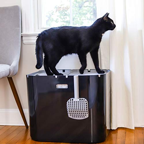 Modkat XL Litter Box, Top or Front-Entry Configurable, Includes Scoop and Liners - Black