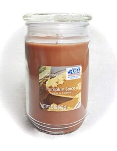 mainstays pumpkin spice 20 oz candle