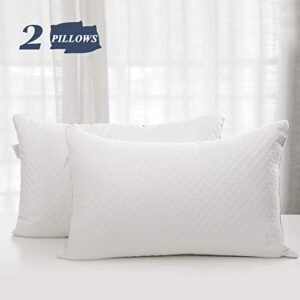 GOHOME Pillows Queen Size 2 Pack, Luxury Queen Size Pillows for Sleeping, Hotel Fluffy Pillow Set of 2, Soft Firm Adjustable Down Alternative Pillows for Side, Back, Stomach Sleepers -20"x30"