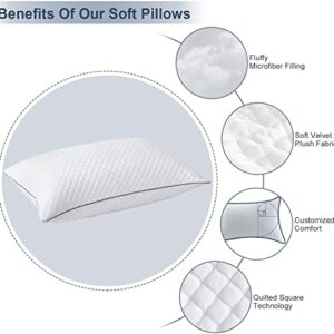 GOHOME Pillows Queen Size 2 Pack, Luxury Queen Size Pillows for Sleeping, Hotel Fluffy Pillow Set of 2, Soft Firm Adjustable Down Alternative Pillows for Side, Back, Stomach Sleepers -20"x30"