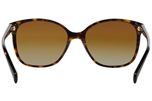 Prada Sunglasses - PR01OS / Frame: Havana Lens: Polar Brown Gradient