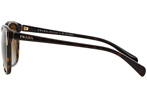 Prada Sunglasses - PR01OS / Frame: Havana Lens: Polar Brown Gradient