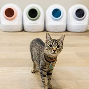 Smarty Pear Leo's Loo Too No Mess Automatic Self-Cleaning Cat Litter Box Includes Charcoal Filter, Built-in Scale, Smart Home App with Voice Control