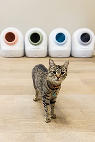 Smarty Pear Leo's Loo Too No Mess Automatic Self-Cleaning Cat Litter Box Includes Charcoal Filter, Built-in Scale, Smart Home App with Voice Control