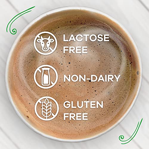 Nestle Coffee mate Sugar Free French Vanilla Coffee Creamer Powder – French Vanilla Creamer for Warm, Rich Flavored Coffee – Lactose-Free, Gluten-Free, Non Dairy Creamer for 140 Servings -10.2 Ounce (Pack of 6)