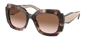 prada pr 16ys havana/brown gradient one size