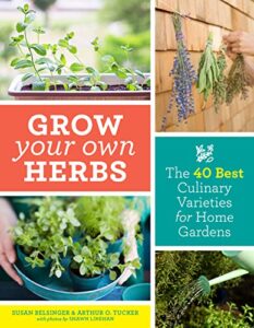 grow your own herbs: the 40 best culinary varieties for home gardens