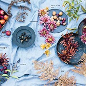 Seasonal Flower Arranging: Fill Your Home with Blooms, Branches, and Foraged Materials All Year Round