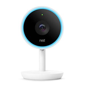 Nest Indoor Iq Cam With Char Mini