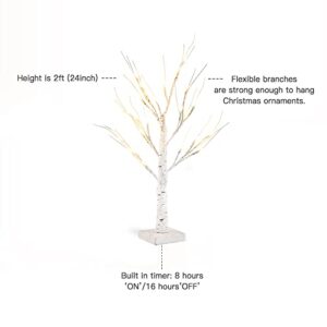 ESTTOP 2FT 24LT Led Lighted Birch Tree, 24 Inch Small White Money Artificial Fairy Tree for Christmas Decorations Indoor, Battery Powered Timer Wedding Party Home Mantle Table Top Centerpieces Decor