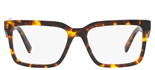 Eyeglasses Prada PR 10 YV VAU1O1 Honey Tortoise