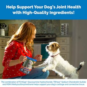 Nutramax Cosequin DS Joint Health Supplement for Dogs - With Glucosamine and Chondroitin, 132 Chewable Tablets