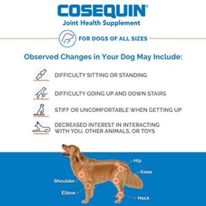 Nutramax Cosequin DS Joint Health Supplement for Dogs - With Glucosamine and Chondroitin, 132 Chewable Tablets