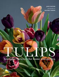 tulips: beautiful varieties for home and garden