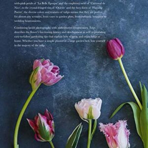 Tulips: Beautiful Varieties for Home and Garden