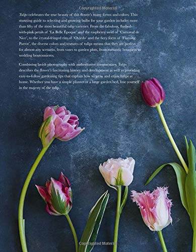 Tulips: Beautiful Varieties for Home and Garden