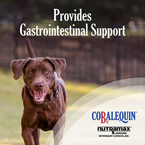 Nutramax Cobalequin B12 Supplement for Medium to Large Dogs, 45 Chewable Tablets, Hydrolyzed Chicken, 2.08 ounces