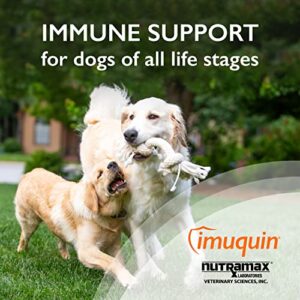 Nutramax Imuquin Immune Health Supplement Powder for Dogs, with Beta Glucans, Marine Lipids, Vitamins and Minerals, 30 Packets