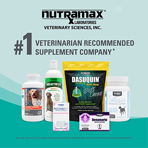 Nutramax Dasuquin Joint Health Supplement for Small to Medium Dogs - With Glucosamine, Chondroitin, ASU, Boswellia Serrata Extract, Green Tea Extract, 84 Chewable Tablets