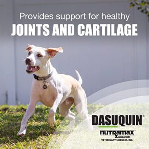 Nutramax Dasuquin Joint Health Supplement for Small to Medium Dogs - With Glucosamine, Chondroitin, ASU, Boswellia Serrata Extract, Green Tea Extract, 84 Chewable Tablets