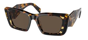 prada prada symbole pr 08ys honey havana/dark brown 51/18/145 women sunglasses