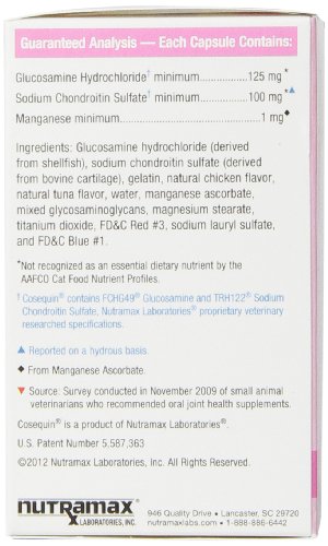 Nutramax Cosequin Joint Health Supplement for Cats - With Glucosamine and Chondroitin, 2 Pack, 160 Total Capsules