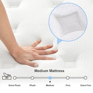 IYEE NATURE Queen Mattresses, 12 Inch Queen Size Hybrid Mattress Individual Pocket Springs with Foam,Queen Bed in a Box with Breathable and Pressure Relief,Medium Plush,Bule