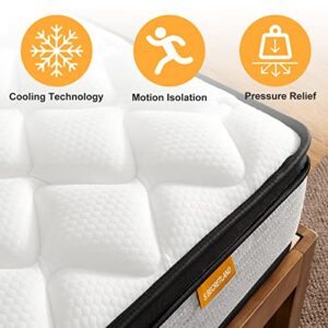 Queen Mattress,SSECRETLAND 12 Inch Hybrid Memory Foam Mattress and Individual Pocket Springs,Queen Bed in a Box with Pressure Relief and Cooler Cover,Soft Queen Size