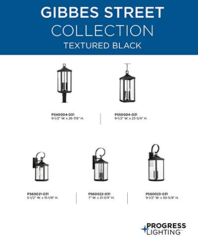 Gibbes Street Collection 2-Light Clear Beveled Glass New Traditional Outdoor Medium Wall Lantern Light Textured Black