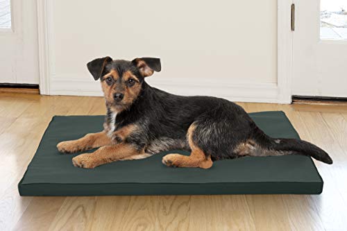 Furhaven Small Dog Bed Water-Resistant Two-Tone Kennel & Crate Pad w/ Removable Washable Cover - Green/Gray, Small