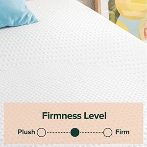 Zinus 8 Inch Green Tea Essential Memory Foam Mattress/Bed-in-a-Box/Affordable Mattress/CertiPUR-US Certified, Queen