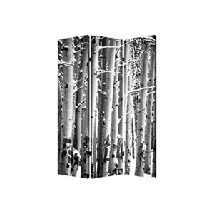 benjara 3 panel canvas foldable screen with birch print, black and white