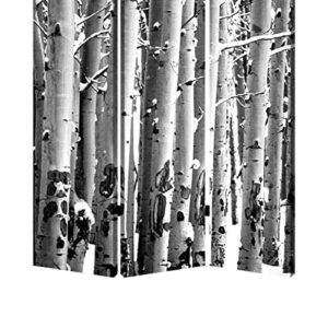 Benjara 3 Panel Canvas Foldable Screen with Birch Print, Black and White