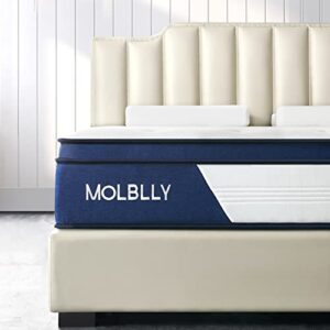 molblly queen mattress, 12 inch innerspring mattress in a box,ultimate motion isolation individually wrapped pocket coils mattress,pressure relief,back pain relief& cool queen bed, 10 years support