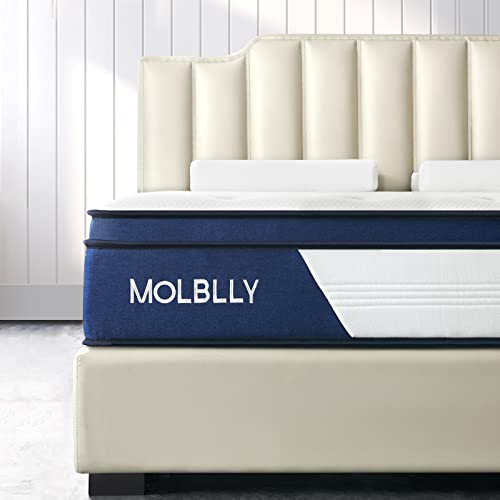 Molblly Queen Mattress, 12 Inch Innerspring Mattress in a Box,Ultimate Motion Isolation Individually Wrapped Pocket Coils Mattress,Pressure Relief,Back Pain Relief& Cool Queen Bed, 10 Years Support