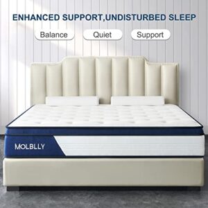 Molblly Queen Mattress, 12 Inch Innerspring Mattress in a Box,Ultimate Motion Isolation Individually Wrapped Pocket Coils Mattress,Pressure Relief,Back Pain Relief& Cool Queen Bed, 10 Years Support