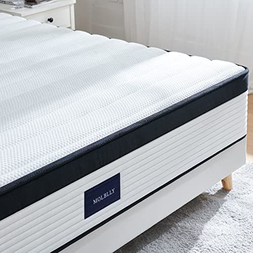 Molblly Queen Mattress, 12 inch Innerspring Mattress in a Box, Ultimate Motion Isolation Individually Wrapped Pocket Coils Mattress, Pressure Relief and Supportive