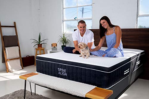 13.5" Luxury Hybrid Mattress - A Mattress Designed for Every Body - American Made - 100 Night Sleep Trial - Dr. Approved (Medium, Twin)