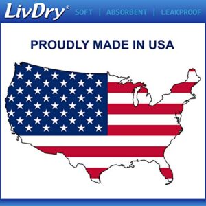 LivDry Overnight Protective Underwear Large size Count: 64