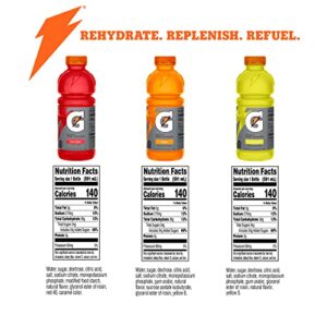 Gatorade Original Thirst Quencher Variety Pack, 20 Ounce Bottles (Pack of 12)