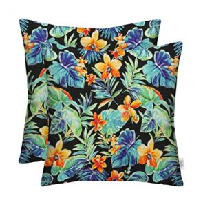 rsh décor indoor outdoor set of 2 pillows, (24″ x 24″, beachcrest caviar floral)