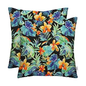 RSH Décor Indoor Outdoor Set of 2 Pillows, (24" x 24", Beachcrest Caviar Floral)