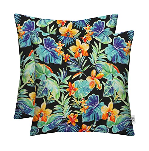 RSH Décor Indoor Outdoor Set of 2 Pillows, (24" x 24", Beachcrest Caviar Floral)