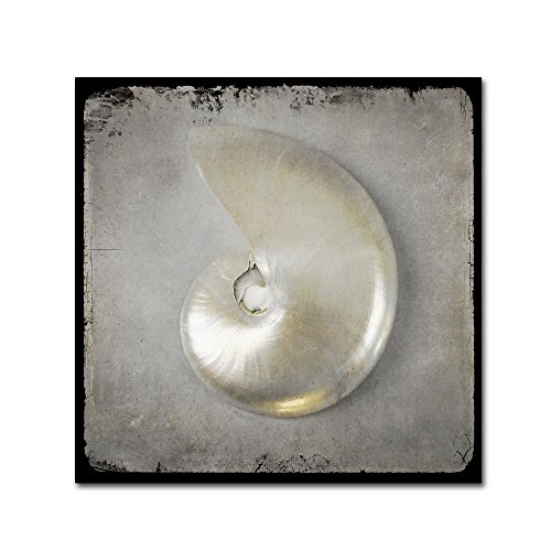 Gold Ornate Frameen Sea 1 by LightBoxJournal, 35x35-Inch Canvas Wall Art