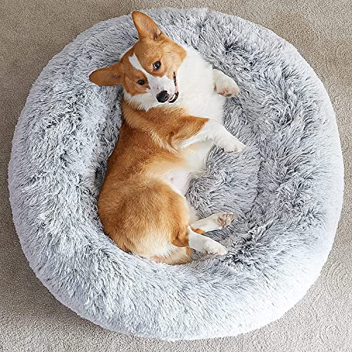 WNPETHOME Calming Dog Bed & Cat Bed, Anti-Anxiety Donut Small Dog Bed, Fluffy Faux Fur Cat Cushion Dog Bed for Small Dogs and Cats (20"/24"/27"/30") (20 x 20 x 8 Inch, Light Grey)