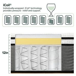 ZINUS 12 Inch Support Plus Pocket Spring Hybrid Mattress / Extra Firm Feel / Heavier Coils for Durable Support / Pocket Innersprings for Motion Isolation / Mattress-in-a-Box, Twin