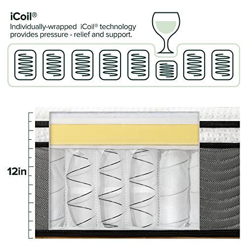 ZINUS 12 Inch Support Plus Pocket Spring Hybrid Mattress / Extra Firm Feel / Heavier Coils for Durable Support / Pocket Innersprings for Motion Isolation / Mattress-in-a-Box, Twin