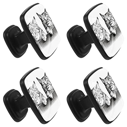 4 Pieces Kitchen Cabinet Knobs, Grey Sleepy Cats Glass Crystal Knobs for Dresser Drawers Cupboard Furniture Pulls Hardware Square Knobs