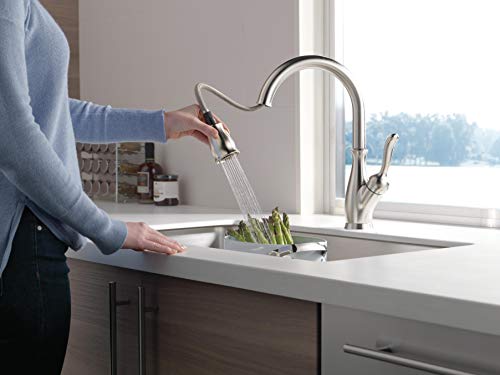 Delta Faucet Leland Brushed Nickel Kitchen Faucet, Kitchen Faucets with Pull Down Sprayer, Kitchen Sink Faucet, Faucet for Kitchen Sink, Magnetic Docking Spray Head, SpotShield Stainless 9178-SP-DST