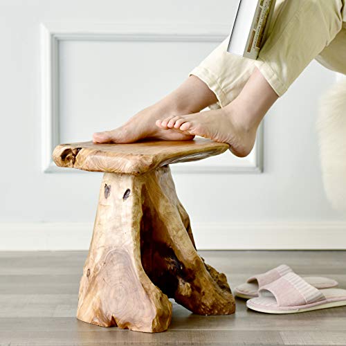 WELLAND Tree Stump Stool Live Edge, Natural Edge Side Table, Plant Stand, Nightstand, Mushroom Stool 14" Tall